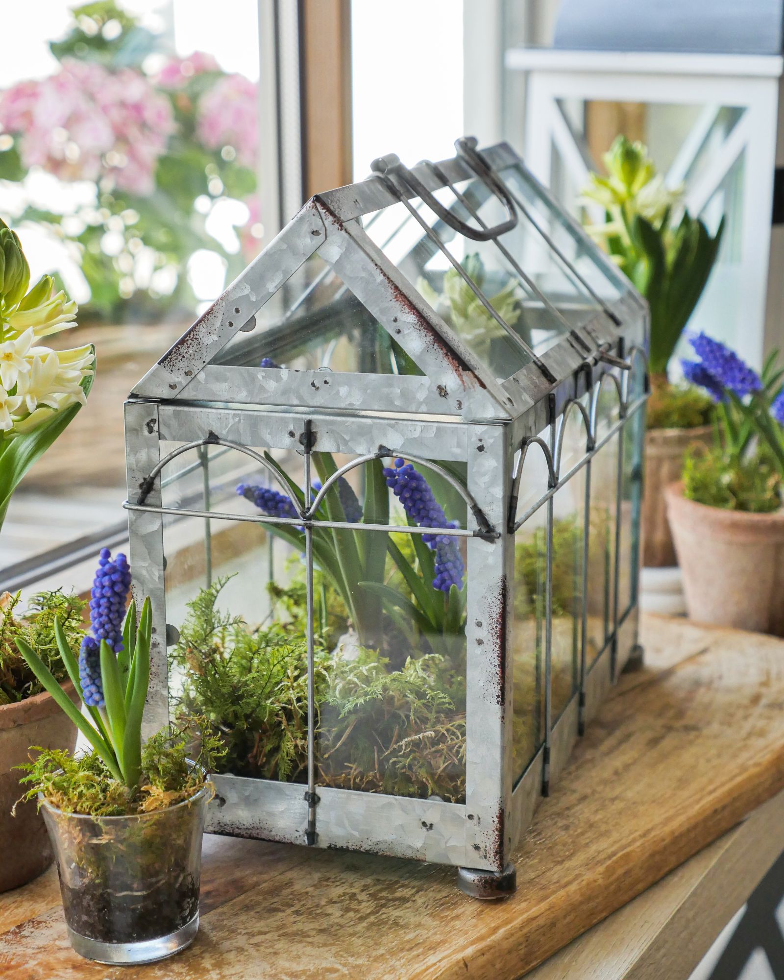 Esschert Design Gewächshaus m. verschließbarem Deckel, Pflanzenhaus ...